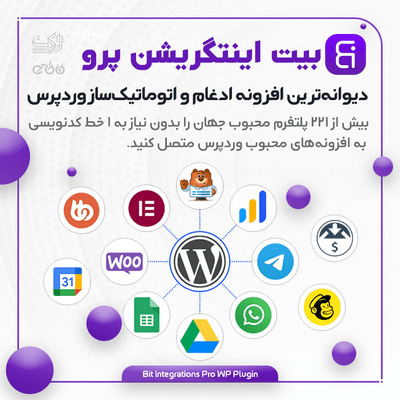 دانلود افزونه بیت اینتگریشن پرو | پلاگین اتوماتیک ساز وردپرس Bit ...